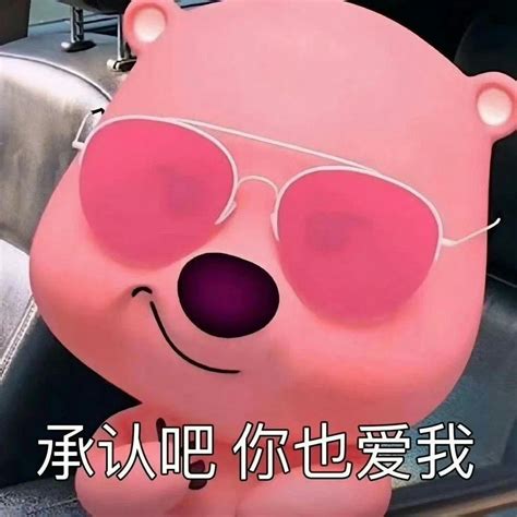 Loopy表情包合集 知乎