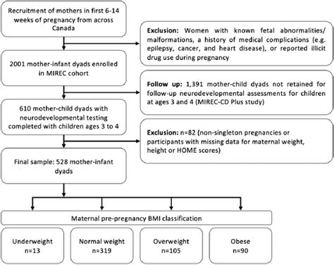Participant And Sample Population Flow Chart Download Scientific Diagram