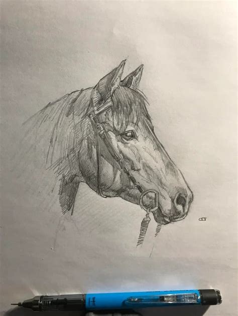 Metalnes Transistor Level Nes Simulation Remudev