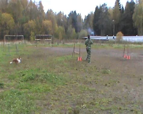 Pgfa150915jmm Flickr