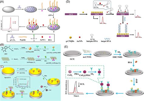 A Diagrammatic Illustration Of The Ecl Platform For The Detection Of Download Scientific