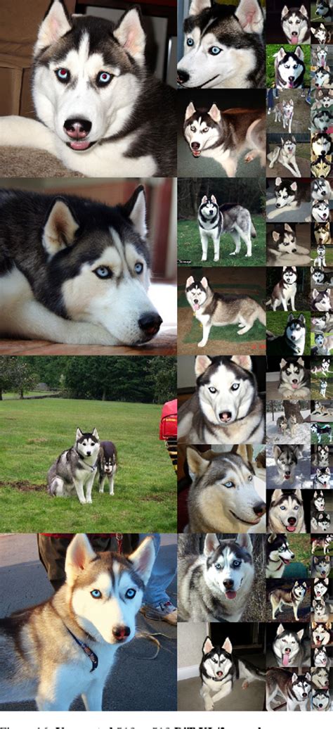 Pdf Scalable Diffusion Models With Transformers Semantic Scholar