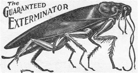 Antique Graphics Wednesday 1910 Roach Killer Advertisement Imprimir