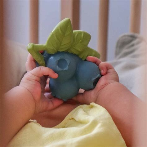 Jerry The Blueberry Rainbow Toybox