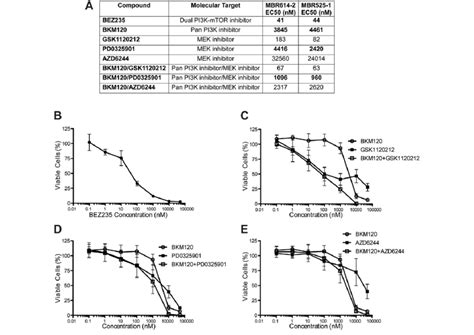 Potency Of Targeted Drugs In Gbm Derived Primary Cells Primary Gbm