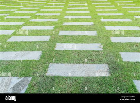 Bricks And Grass Parking 23 Grass Carpark Ideas Grass Pavers