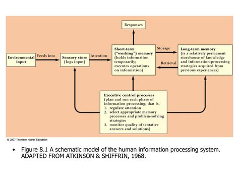 Ppt Information Processing Powerpoint Presentation Free Download