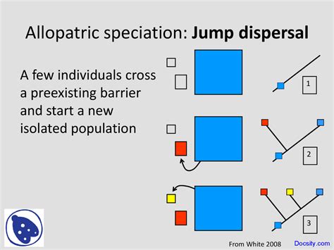 Allopatric Speciation Geography Lecture Slides Docsity