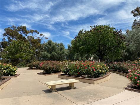 Balboa Park Rose Garden — San Diego Rose Society