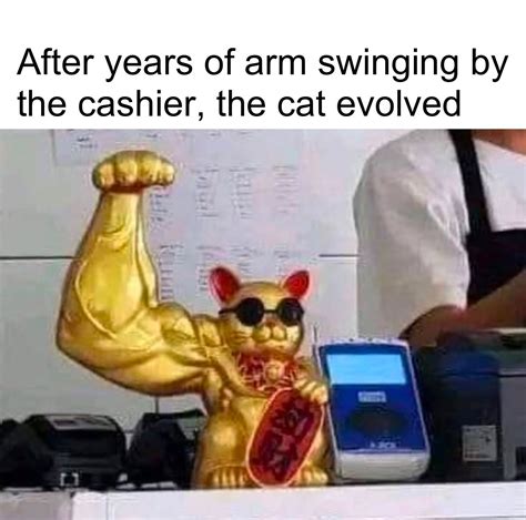 Wednesday Memes For The Memeless Album On Imgur