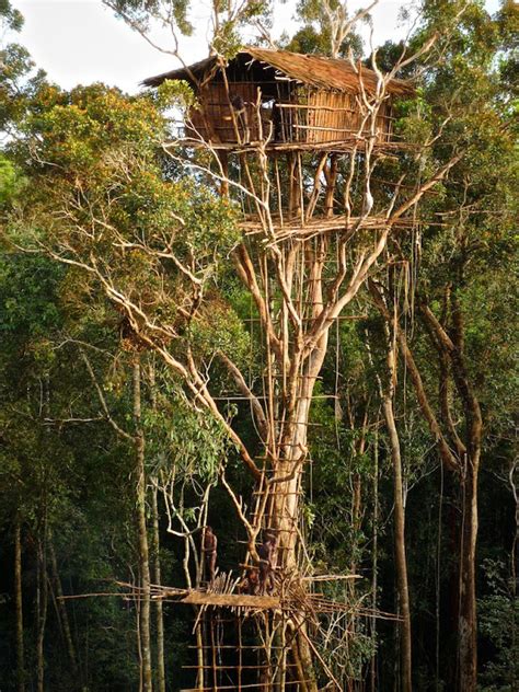 The Tree Houses Of The Korowai Tribe Of New Guinea Amusing Planet