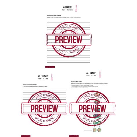 Unveiling Mitosis Poster Educational Cell Division Chart
