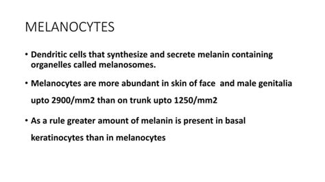 Dendritic Cells Functions And Types Pptx