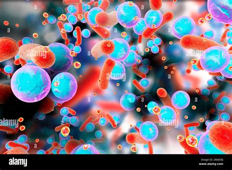 Spherical Bacteria And Rod Shaped Bacteria Inside Biofilm With Quorum Sensing Molecules Small