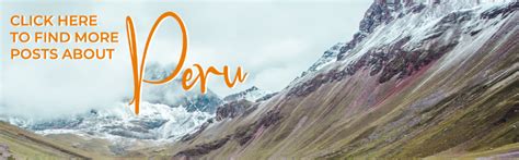 Insights On Beer In Peru Brand Analysis Of The Beer Market