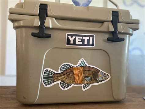 Murray Cod Decals Headwaters Art And Fly Shop