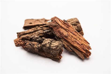 Babul Chaal Acacia Bark également Connu Sous Le Nom De