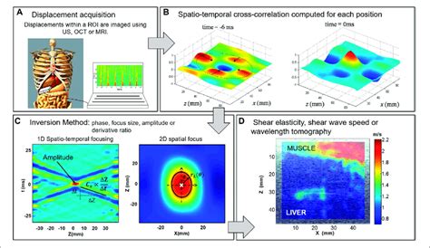 Schemmatic Representation Of The Main Steps Involved In An