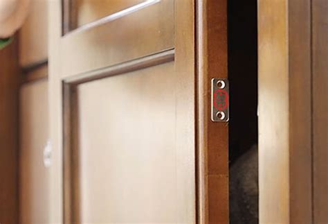 Monkey Magnets Bulbhead