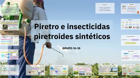 Insecticidas Piretroides By Lizbeth Valdez On Prezi