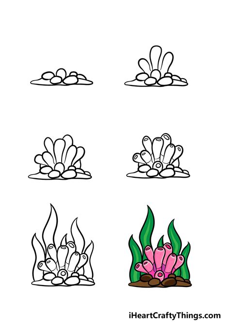 Simple Coral Drawings