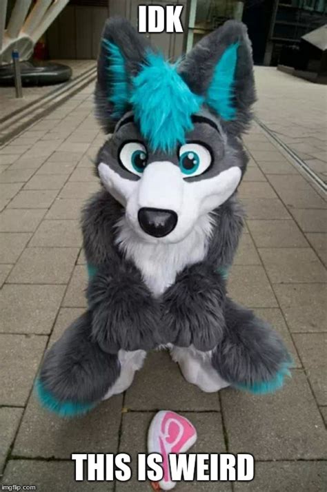 Furry Memes And S Imgflip