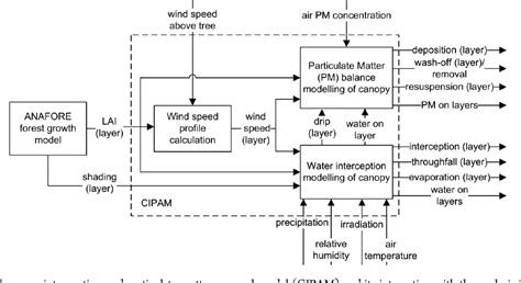 Figure 1 From Multilayered Modeling Of Particulate Matter Removal By A Growing Forest Over Time