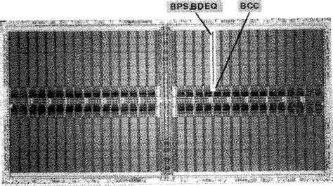 Figure 6 From On Wafer Bist Of A 200 Gbs Failed Bit Search For 1 Gb