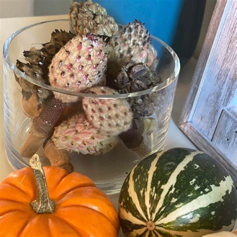 Magnolia Pods Etsy