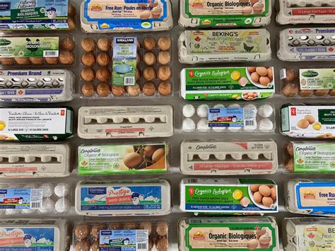 Healthy Eggs Brands