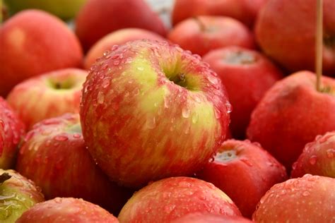 25 Popular Fruits From Around The World
