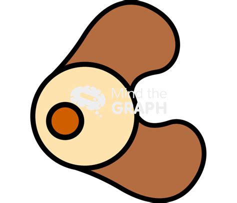 Free Gymnosperm Microsporocytes Icons Symbols Pictures And Images