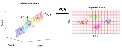 주성분분석 Principal Component Analysis Pca