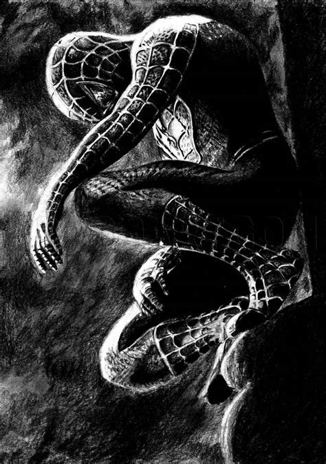 Spiderman Black And White Drawing
