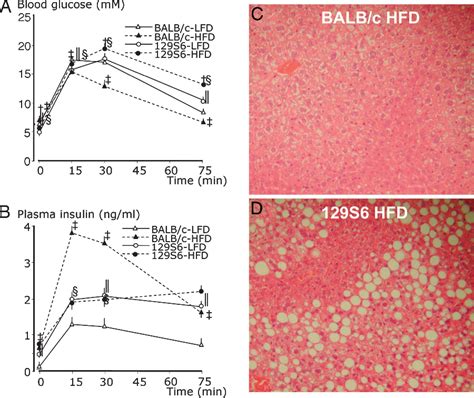Methylamines Semantic Scholar