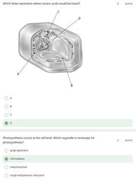 Cell Structure And Function Chapter Test Google Form By Secondary Science HQ