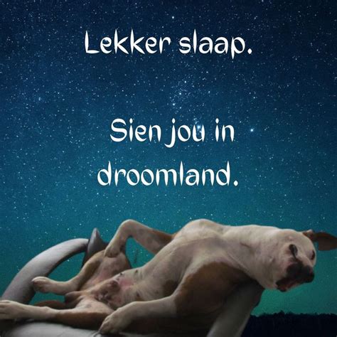 Lekker Slaap Slapen