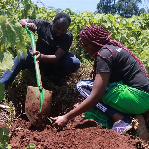 Climateaction Sustainableagroforestry Greenfuture Mutua Alex Muriira Young Wallet