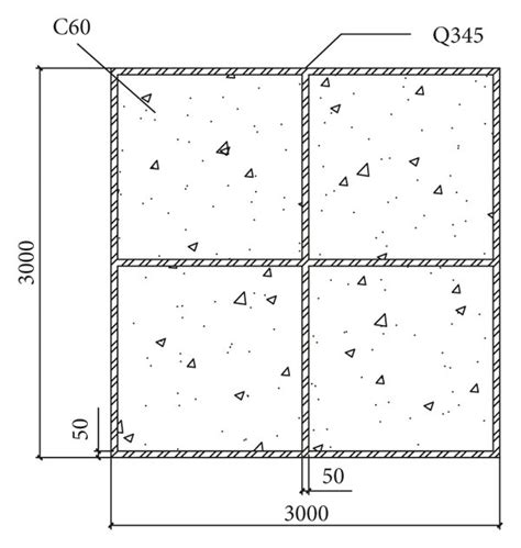Schematic Diagram Of Representative Cross Sections A Primary Column