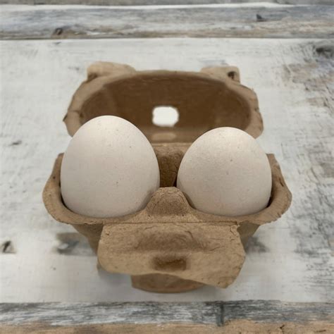 2 Egg Pulp Eggcartonscom