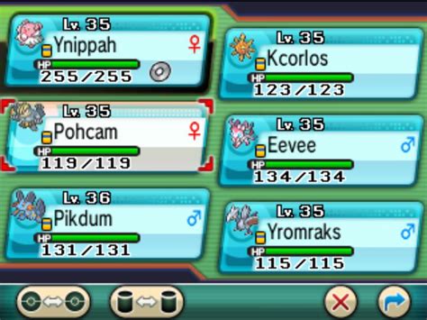 Rising Ruby Hc Skarmory Plus Blissey Should Be Illegal 2 Deaths
