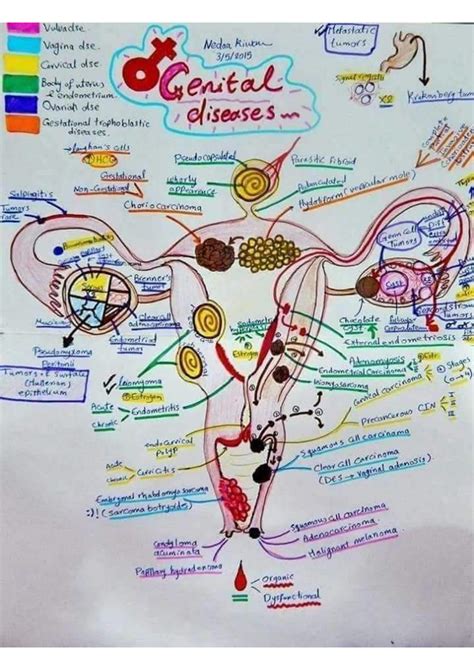 Solution Diseases Mind Maps Studypool