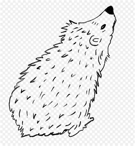 刺猬png图片素材下载图片编号qwglvlpk 免抠素材网