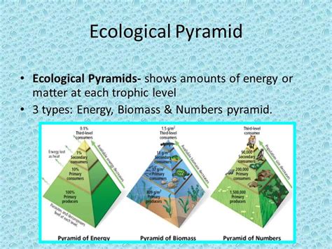 The Biosphere Unveiled Unlocking The Mysteries Of Chapter 3