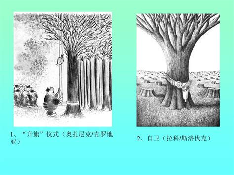 22 《森林的开发和保护 以亚马孙热带雨林为例》课件 新人教必修3word文档在线阅读与下载无忧文档