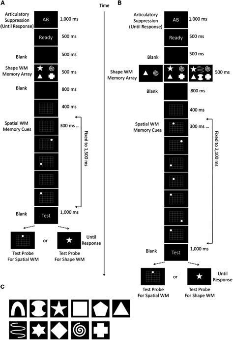 Schematic Diagrams Of The Experimental Procedure Used In Experiments 2 Download Scientific