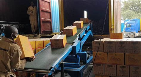 Conveyor System Container Loading And Unloading System Yifan Conveyor