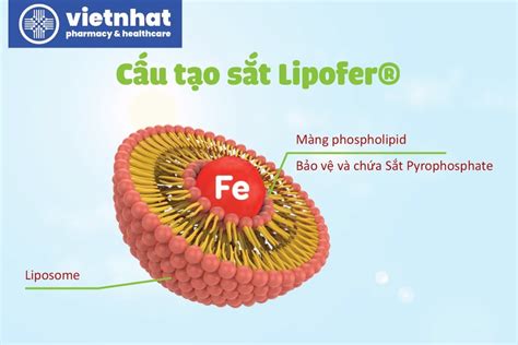 Sắt Lipofer Là Gì Review Một Số Loại Sắt Lipofer Trên Thị Trường