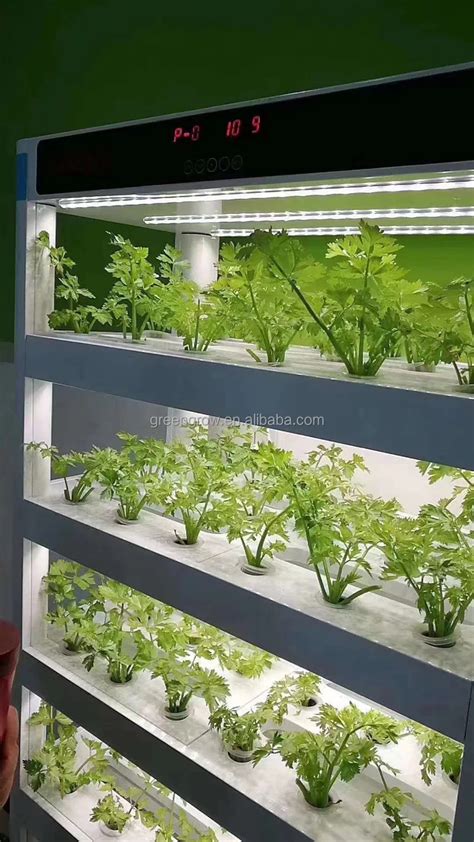 5 Layer Hydroponic Indoor Planting System For Home Gardening
