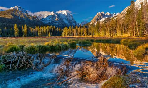 Idahos National Forest Usa 4k Wallpaper Download